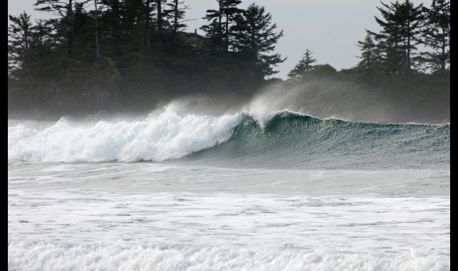 The Birth of Western Canada’s Storm-Watching Region | Wickaninnish Inn ...