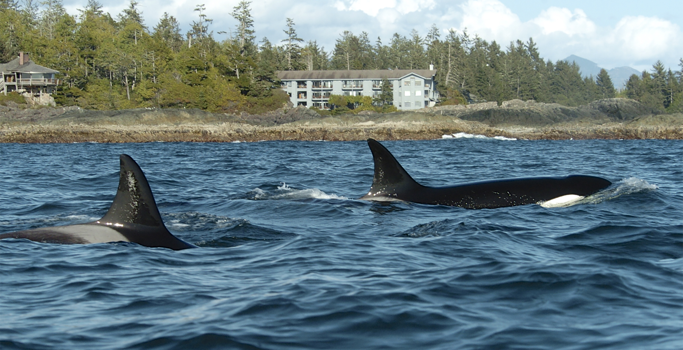 Inn & Around the Wick - February 2023 | Wickaninnish Inn, Tofino, Canada